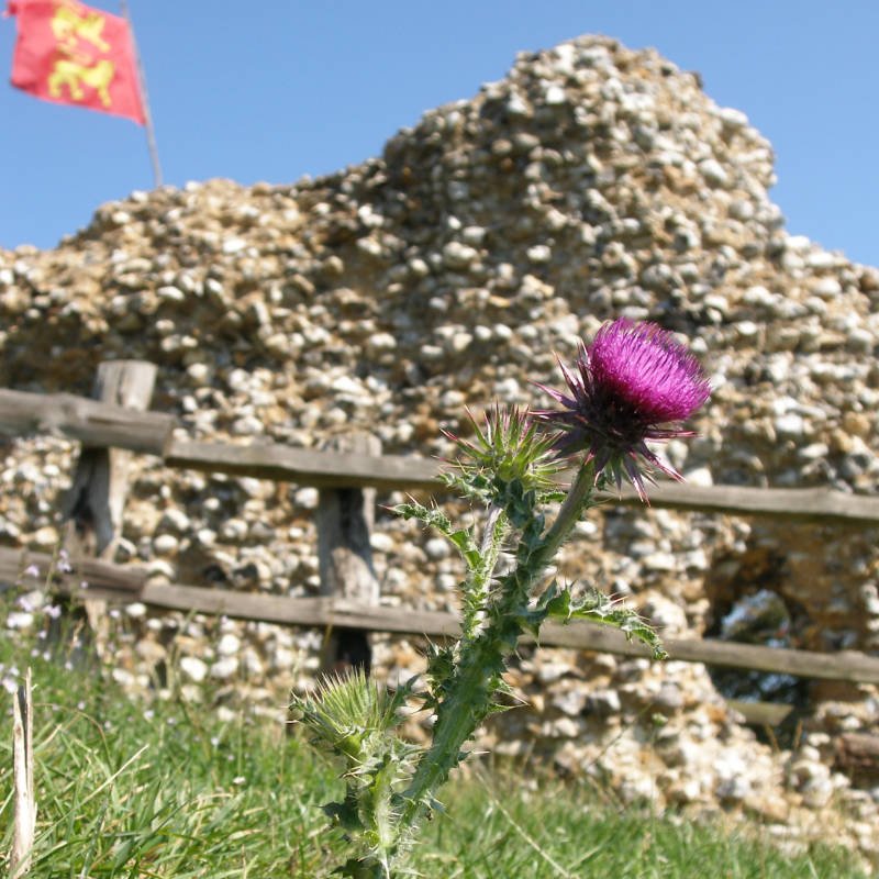 Castle History – Mountfitchet Castle